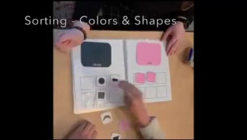 Sorting Activity by Color and Shapes by IFIO girl | TPT