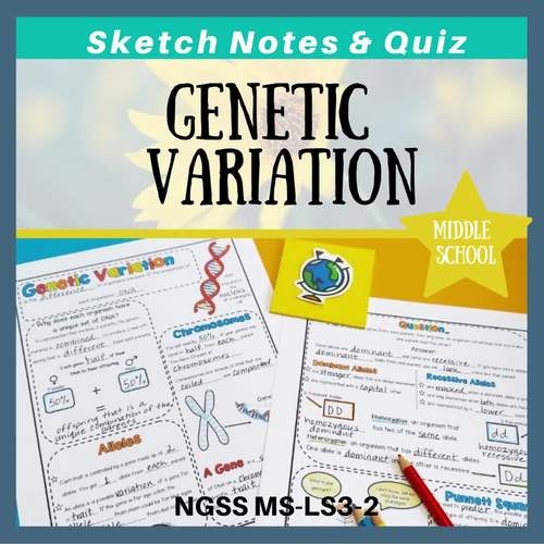 Genetic Variation Sketch Notes, Quiz, CER, & Slideshow by Mrs Proton Priest
