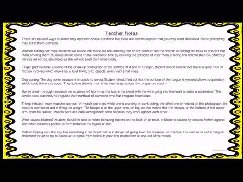 10 Life Science CER Writing Prompts | Image Bell Ringers & Organizers ...