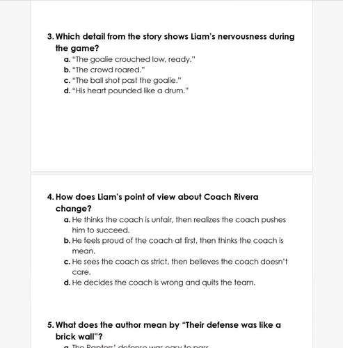 Lacrosse Short Story | Comprehension Questions & POV Graphic Organizer ...