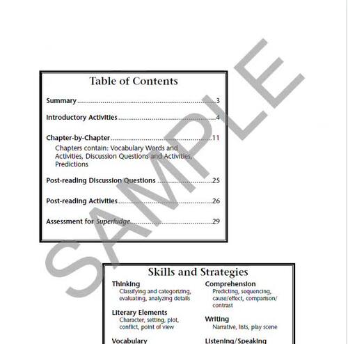 Superfudge Novel Units® Teacher Guide Novel Study | TPT