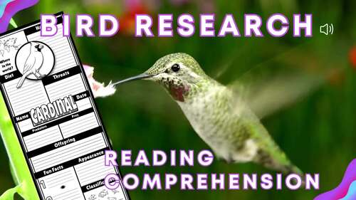 Bird Reading Comprehension Informational Research All about Birds Fun Facts