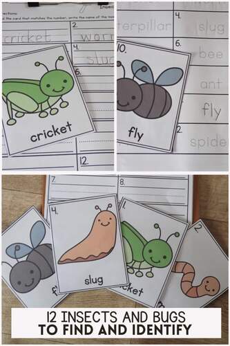 Insects And Bugs Write The Room by Print and Play Days | TPT