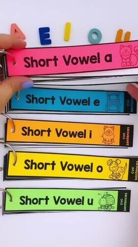 CVC Words Decodable Sentences by Stephanie Stewart | TPT