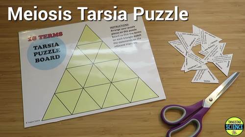 Meiosis Tarsia Puzzle - Group Review Game (Options for Differentiation)