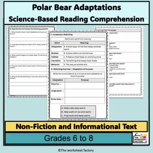 Polar Bear Adaptations | Reading Comprehension | Science | Grades 2–4