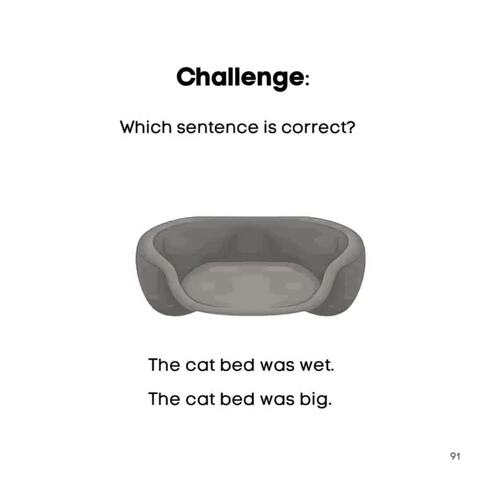 Orton Gillingham Phonics Decodable Readers Level 1- The Man and The Cat ...