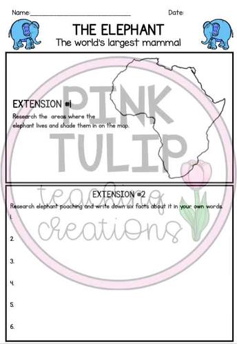 African Animals - Reading Comprehension Pack by Pink Tulip Teaching ...