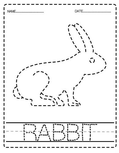 Animals Trace and Color Activity by BN STYLE | TPT