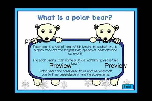 All about polar bears PowerPoint Informational Text Arctic Animal ...