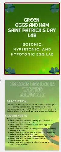 Lab of the Month | 12 Labs with answer keys | BUNDLE by Secondary ...
