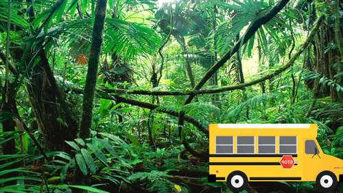 K - 2nd Grade Escape the Jungle Obstacle Course by Mr C's PE Resources