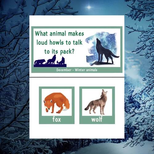 December Question of the day preschool, Morning meeting card, Winter ...
