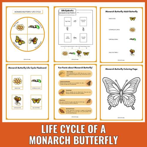 Life Cycle of a Monarch Butterfly Insect Science Unit Study & Fun Facts ...