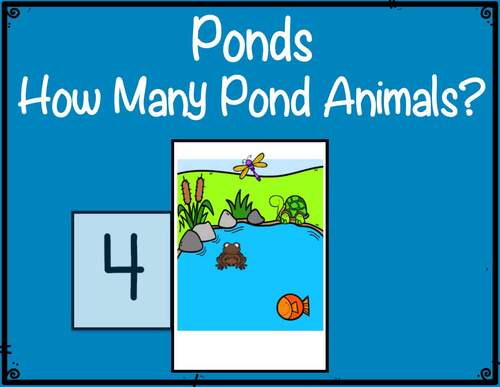 Ponds Counting Games: How Many Pond Animals Numerals & Number Words