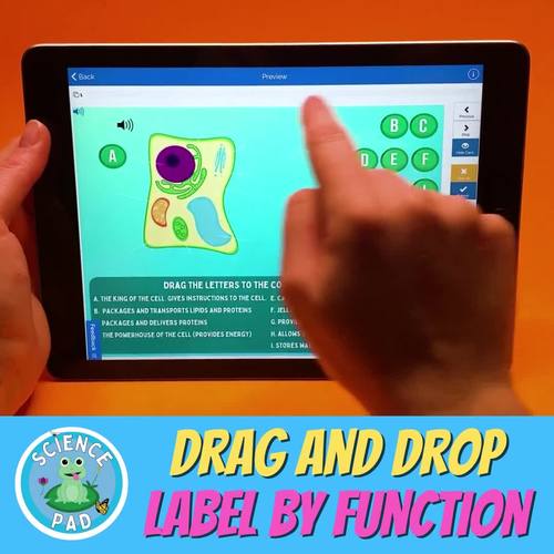 Label The Plant Cell | Boom Cards Distance | Eukaryote Labelling ...
