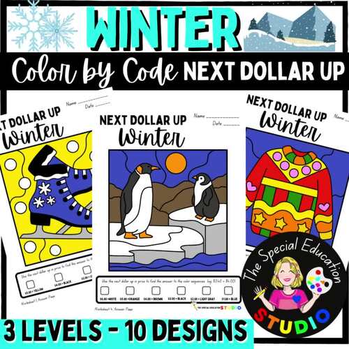 Winter ACTIVITIES BUNDLE Special Education Differentiated LIFE SKILLS ...