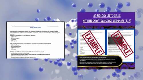 AP Biology UNIT 2 Cells 2.8 Mechanisms of Transport Worksheet MCQ Practice