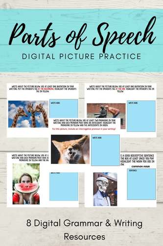 Parts of Speech Picture Practice Digital Grammar Activities- Distance ...