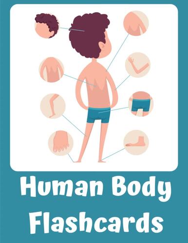 Human Body Flashcards for Kids. by Scholarly Supplies | TPT