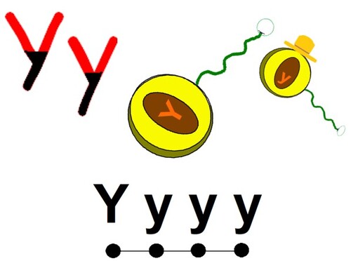 Mnemonics Phonics - Letter Y by Jessica Waggoner | TPT