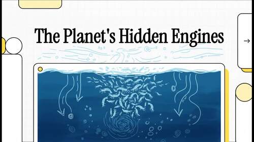 NYS Biology Living Environment/Life Science study video cluster 5-Krill