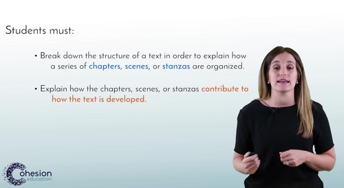 Organization of Stories, Dramas, or Poems by Cohesion Education | TPT