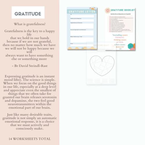 Gratitude worksheets, depression, growth mindset, SEL, self care, self ...