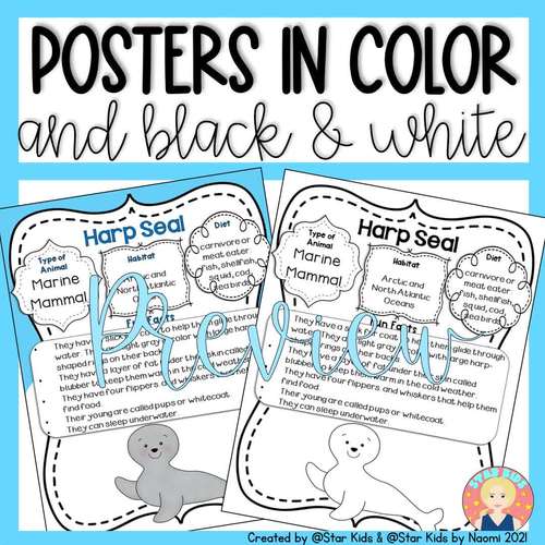 Arctic Animals Unit for Kindergarten | Harp Seal Activities by Star Kids