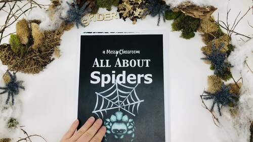 2nd Grade Spider Arachnid Diversified Nonfiction Reading Lesson Main ...