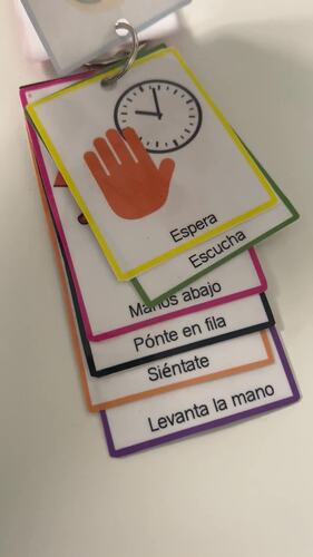 Behavior Cue Cards | Communication Cards | Visual Behavior Cue | TPT