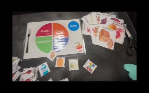 Elementary Nutrition Bundle | Lessons, Worksheets, Games & Activities