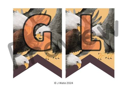 Bird Research Project | Eagle Report Writing Templates | Fact File ...