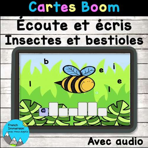 Insectes et bestioles écriture French insects and bugs vocabulary writing