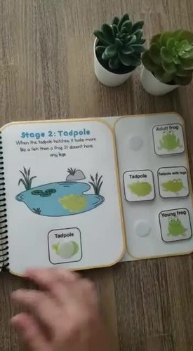 The Frog Life Cycle science unit for kindergarten | spring | story ...