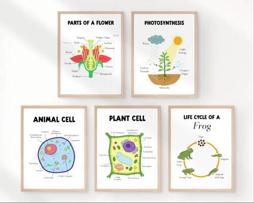 Science Poster Pack 50+ BUNDLE, Earth Science, Life Science/Biology ...