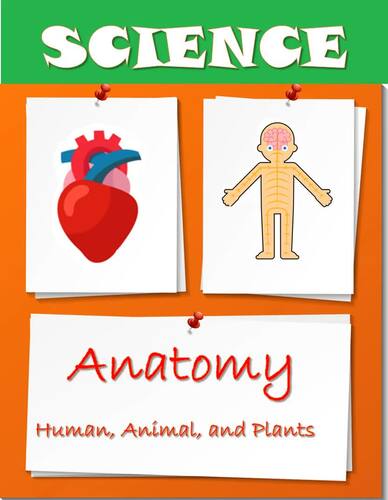 Science Human Anatomy Two Body Systems, Animal and Human Growth | TPT
