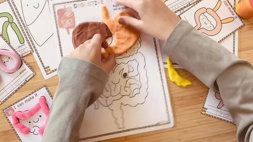 Human Organs Play Dough Mats / Body Play Doh Fine Motor Playdough Mats