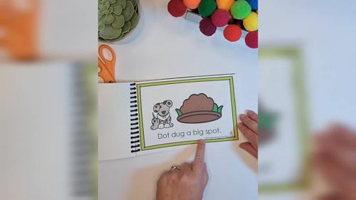 Bug in a Bag Book and Activities to Decode in Reading {Reversal Letter Bb}