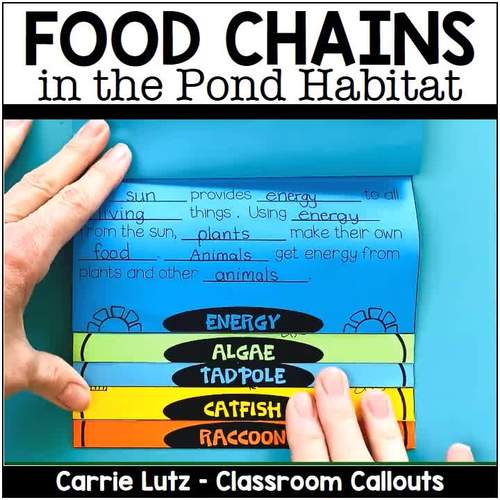 Food Chain Activities Producers Consumers Ecosystem Posters 2nd–3rd Grade