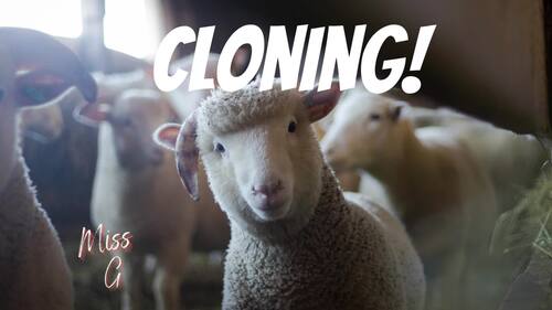 Cloning: The Story of Dolly the Sheep! 1 class-22 Slides/notes-Kahoot-Canva