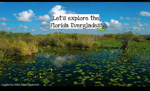 Florida Everglades Virtual Field Trip - National Park, Wetlands, Ecosystem