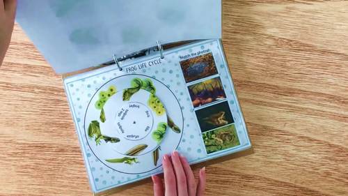 Interactive Busy Book Two, Toddler Learning Binder Quiet Book | TPT