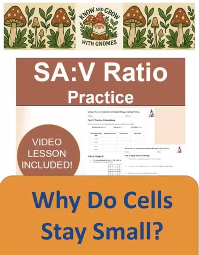 AP Bio Surface Area:Volume Ratio Worksheet & Answer Key | Cell Size ...