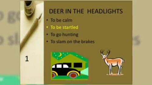 Idioms PowerPoint Interactive Quiz with Easel Assessment by HappyEdugator