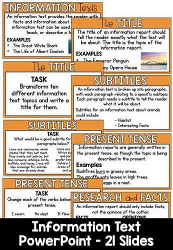 Information Text - Reading and Writing Bundle by Pink Tulip Teaching ...