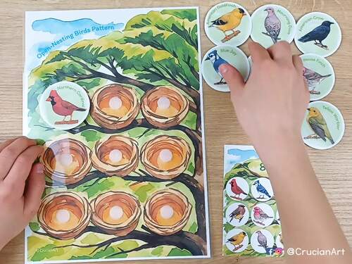 Open-Nesting Birds Pattern Building Activity | Logical Thinking & Matching