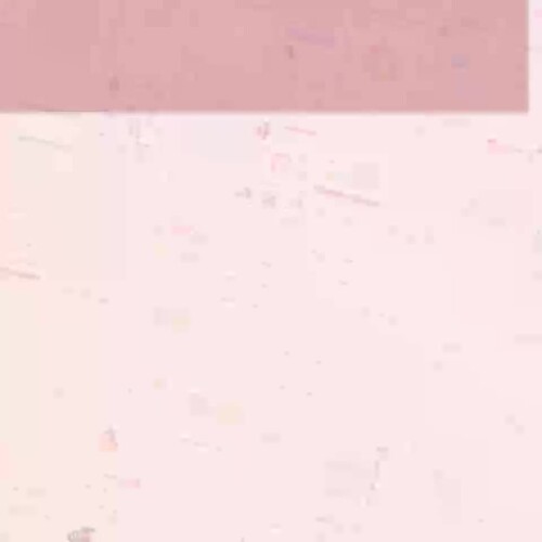 ADHD Executive Functioning Workbook | Neurodivergent | ADHD Digital Planner