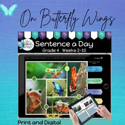 Sentence Writing Grade 4 Weeks 2 to 10 Term 1 by On Butterfly Wings