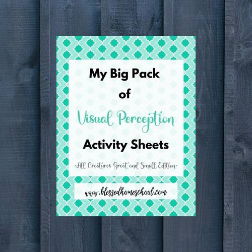 Visual Perception Activity Pack by Blessed Homeschool Printables